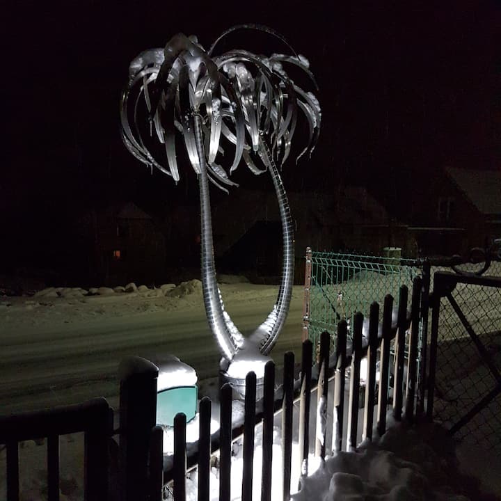 Au Palmier De La Vallée - Appartement - Munster