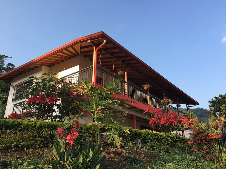 Café Del Jardín - P1 - Andes