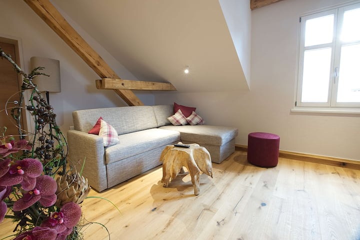 Apartment Edelweiß Top 21 - Schruns