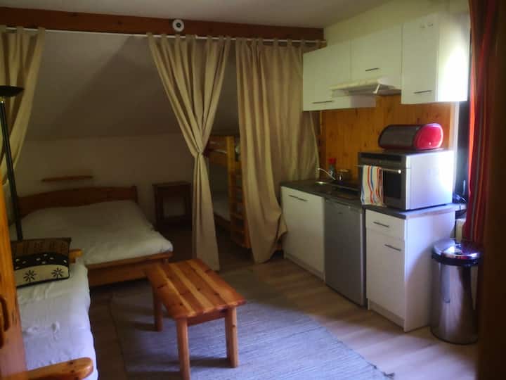 Studio Dans Grande Maison/ Cocktail Academy Au Rdc - Saint-Pierre-de-Chartreuse