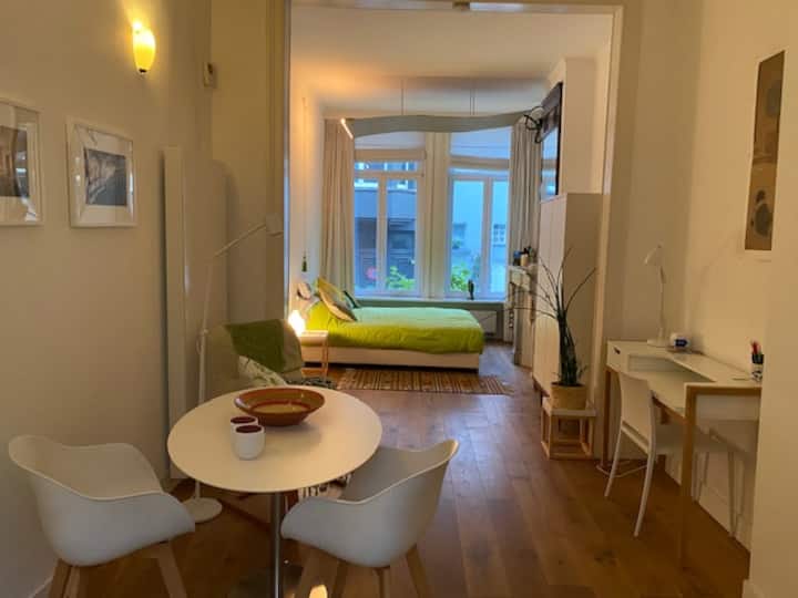 Antwerpen Zuid Prachtige Studio - Antwerp