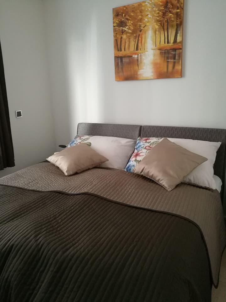 New Amazing Apartment,new Town,spálená 5,prague 1 - Praag