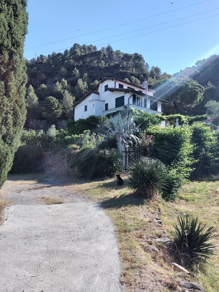 Casa Bianca, Un Oasi Di Pace
Alloggio Da 6 Persone - Bordighera