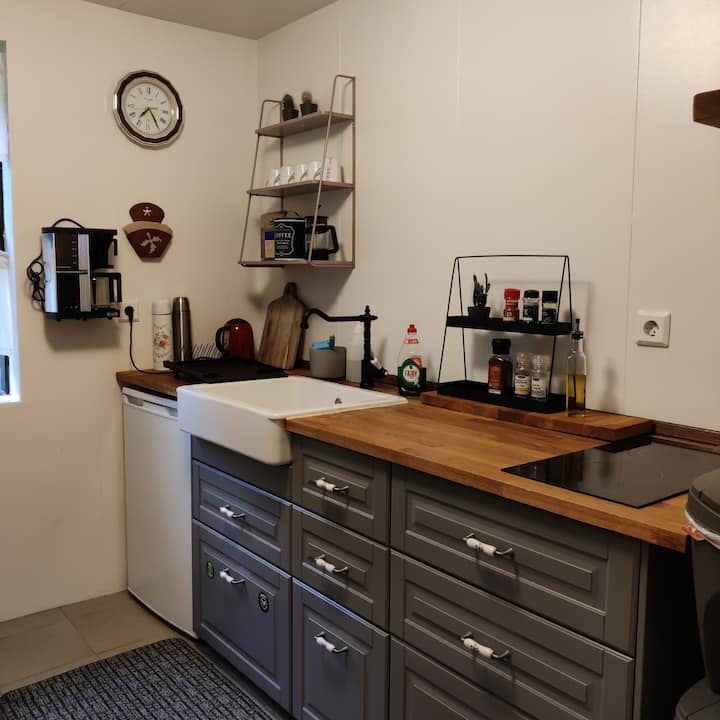 Reynisfjall Prestshus Evening Sun Guesthouse - Vik