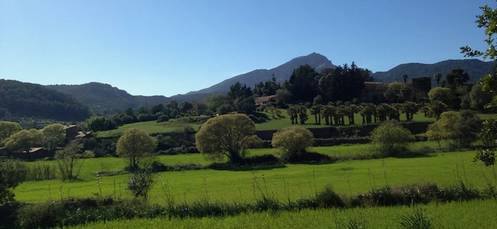 Finca Aparthotel Son Pont (1) - Banyalbufar
