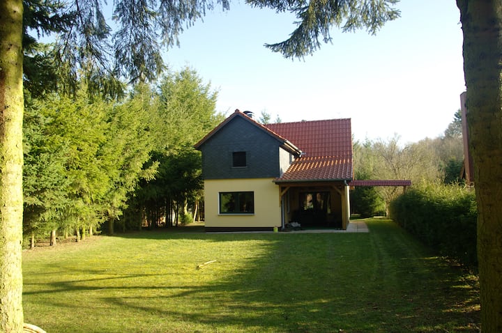 Mirow/lärz-wald/ Sauna/ See-haus,kamin-ruhe Pur - Mirow