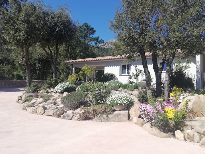 Mini Villa 2 Pers à 2mn Des Piscines Naturelles - Zonza