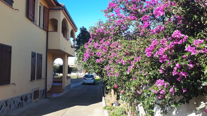 Ampio Apt. In Villetta Indipendente Con Vista Mare - Olbia