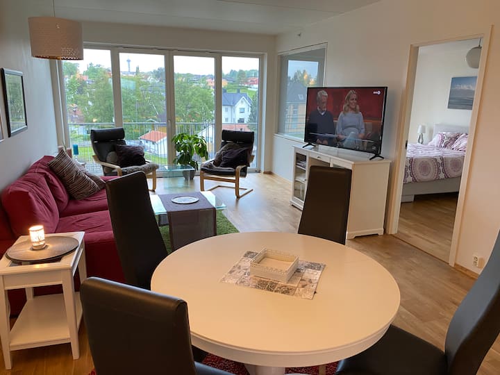 Moderne Leilighet På Toppen Av Et Kjøpesenter. - 트론헤임