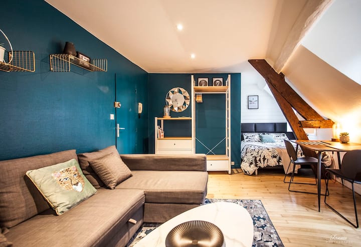 Charmant Studio Dans L'hyper Centre-ville Rennais - Rennes