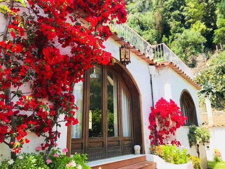 Amalfi Dream - Amalfi Coast