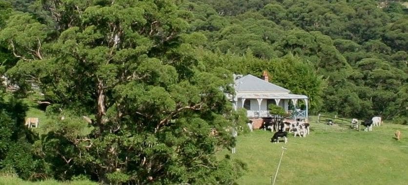 Jasper Cottage - Cottages for Rent in Jaspers Brush, New South Wales ...