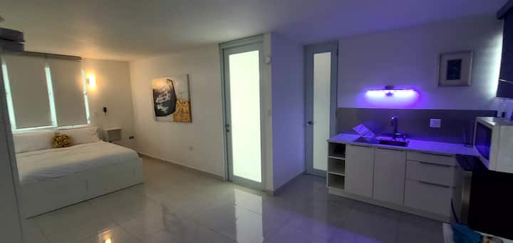 Viajero #1 - Guaynabo