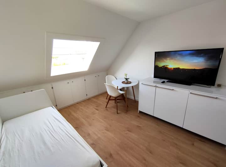 Renovated 1-room Apartment Central Munich - München