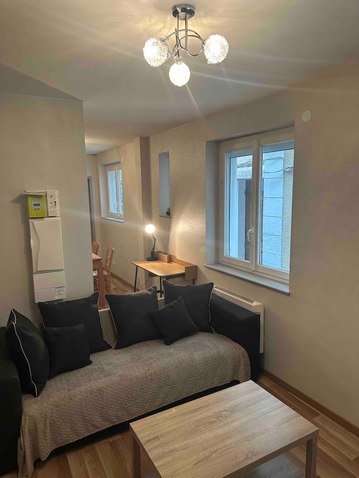 Appartement Centre Ville Annemasse N*003 - Archamps