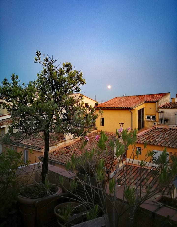 Studio Terrasse Au Cœur D'aix - Aix-en-Provence