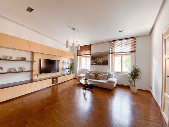 Modern Apartment (Wenceslass Square) - プラハ