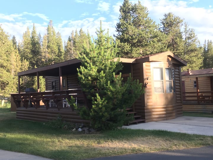 Cozy Tiger Run Cabin - Frisco, CO