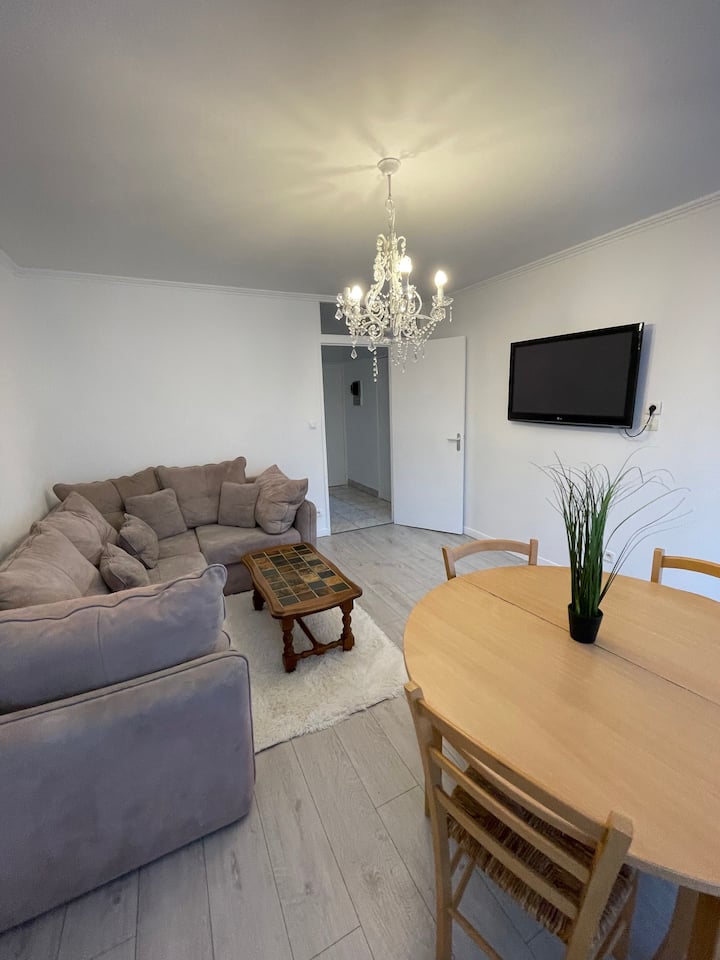 Grand Appartement Annemasse - Annemasse
