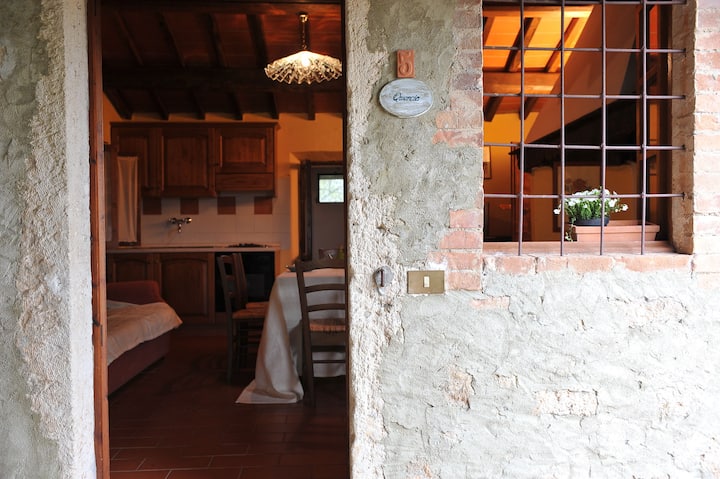 Appartement De Style Toscan Avec Cheminée Ancienne - San Gimignano