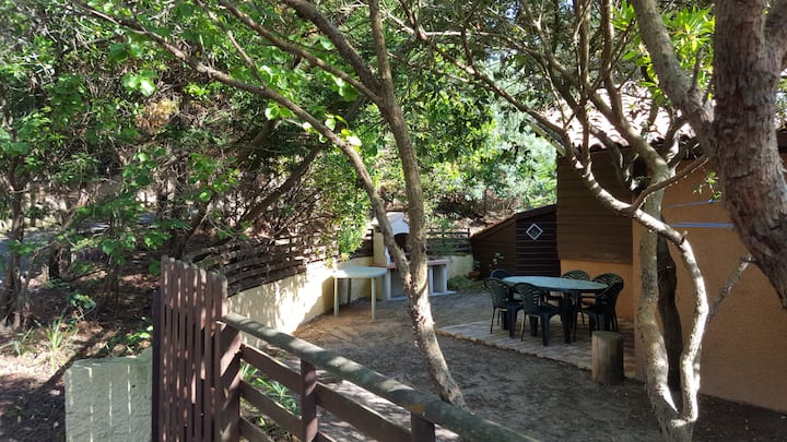Maison à L'ombre Des Pins à 10 Minutes De La Plage - Lacanau