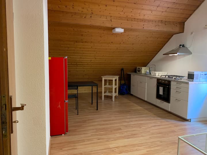 Big, 80sqm Flat, Peaceful German Area + Swim Park - Frankfurt