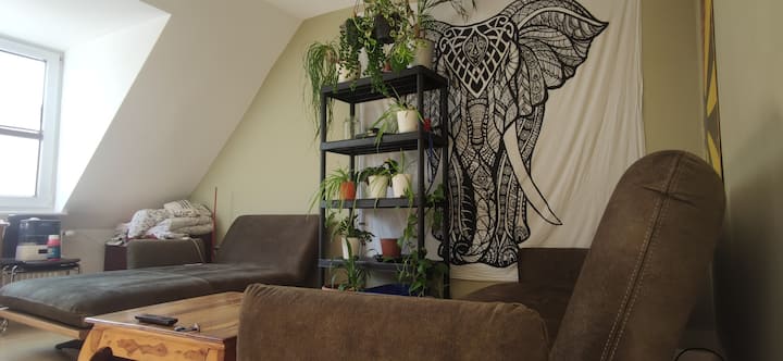 1 Sofa Bed, 5 Min To Down Town - Wiesbaden