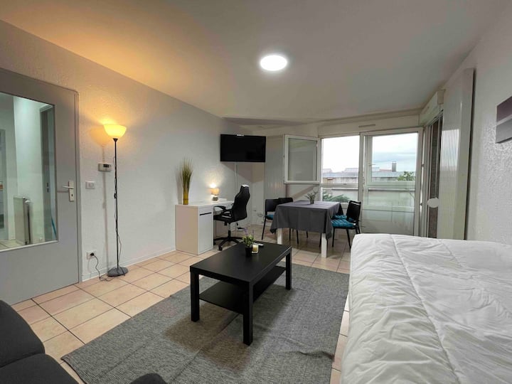 T2 Bruno De 50m2, 3 Adultes, Garage Sous Terrain - Huningue