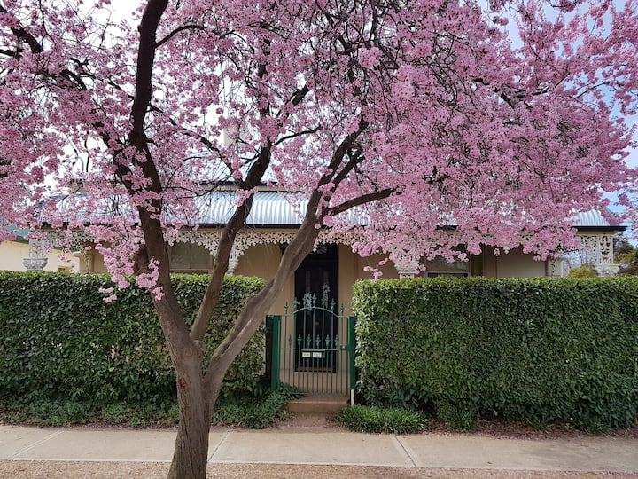 Daisy Cottage-excellent Location - Bathurst