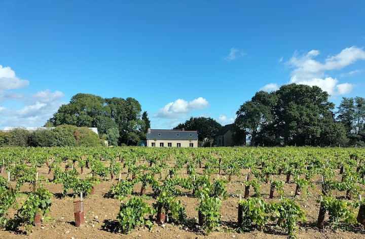 Charmante Maison De Campagne - Bretagna