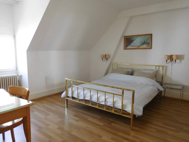 Comfortable Room In Central Townhouse With Garden - Basel