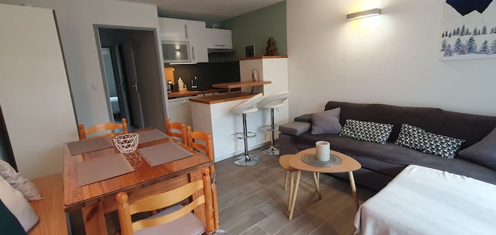 Bel Appartement - Centre Station - La Joue du Loup