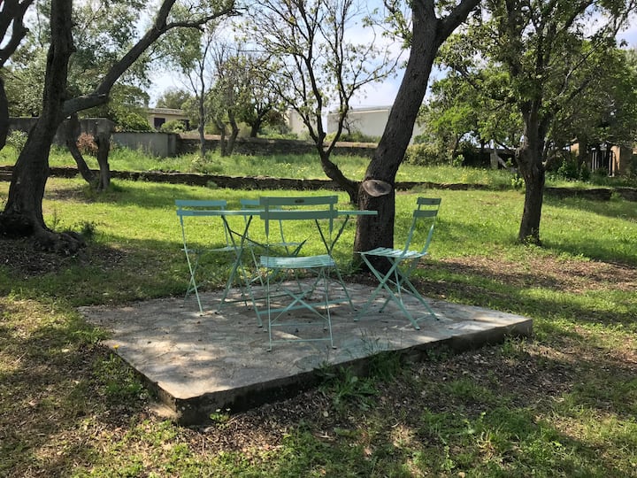Maison à Barcaggio Au Sein D’un Beau Jardin Arboré - Centuri