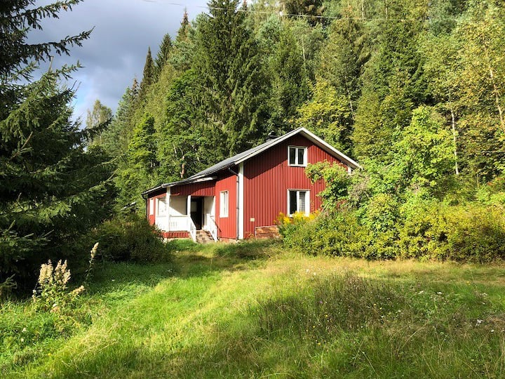Little Forest House - Hagfors