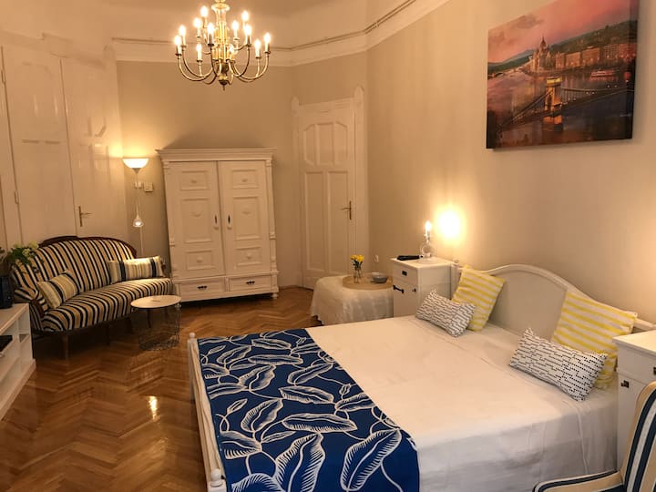 40 M2 Wonderful Apartment Budapest Centre - Budapest