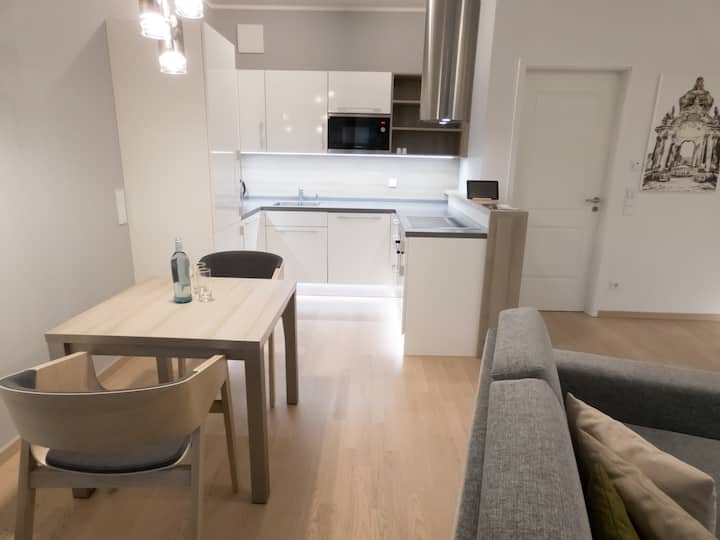 1-raum Apartment Im Herzen Dresdens - Dresde