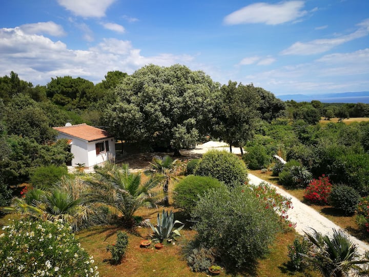 Little House Surrounded By Nature - Ližnjan