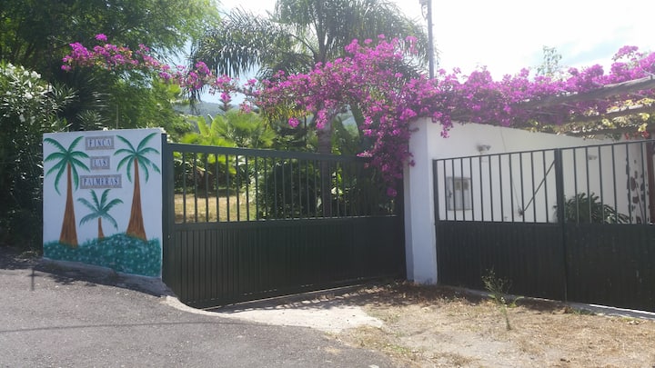 Finca Las Palmeras - Pico del Teide