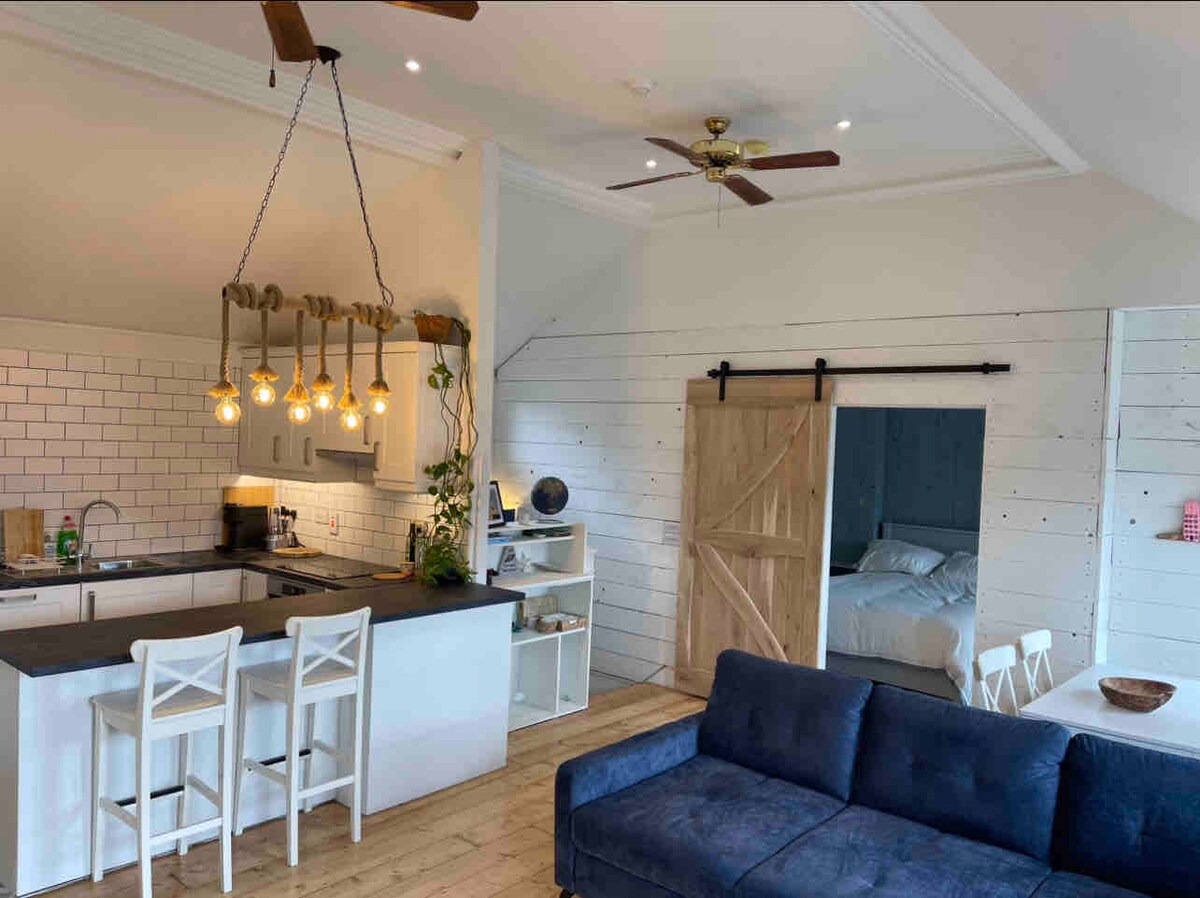 Dublin Apartment Vacation Rentals - County Dublin, Ireland | Airbnb