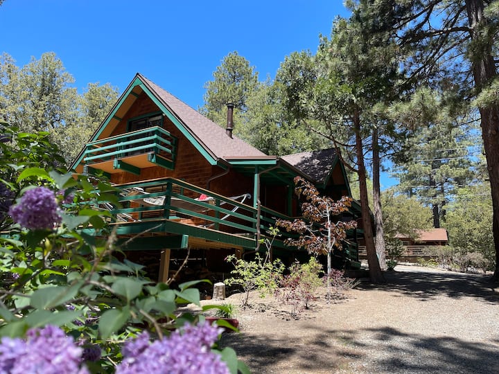 Perfect 4 Bed Cabin W/ Charm, Hot Tub, & Sauna! - Idyllwild-Pine Cove, CA