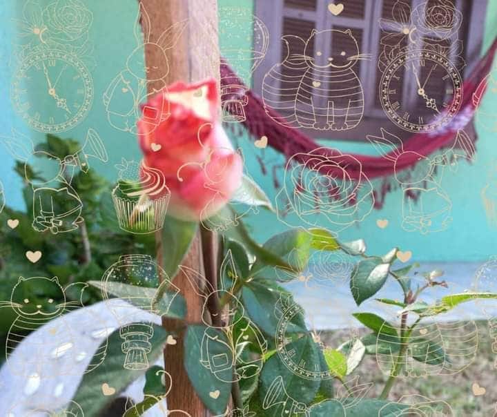 Casinha 193
Rua Das Rosas - Tramandaí