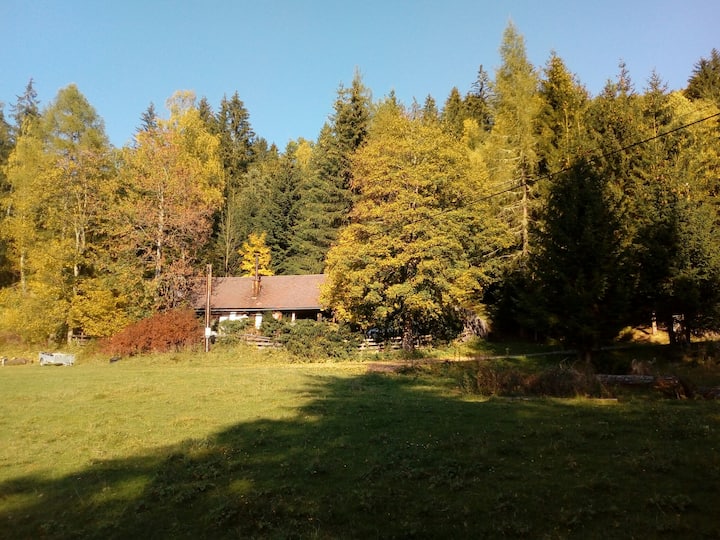 Perschlhütte In Sonniger Ruhelage - Murau