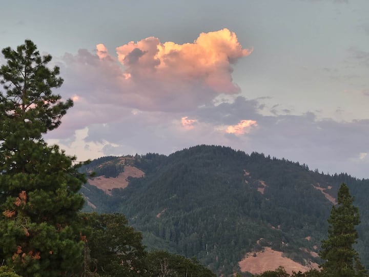 New House In Private Community In White Salmon - White Salmon, WA