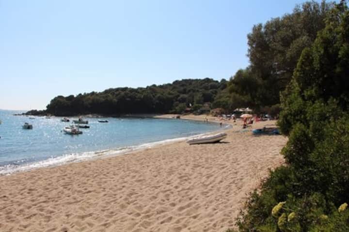 Charmante Maison De Vacances - Olmeto