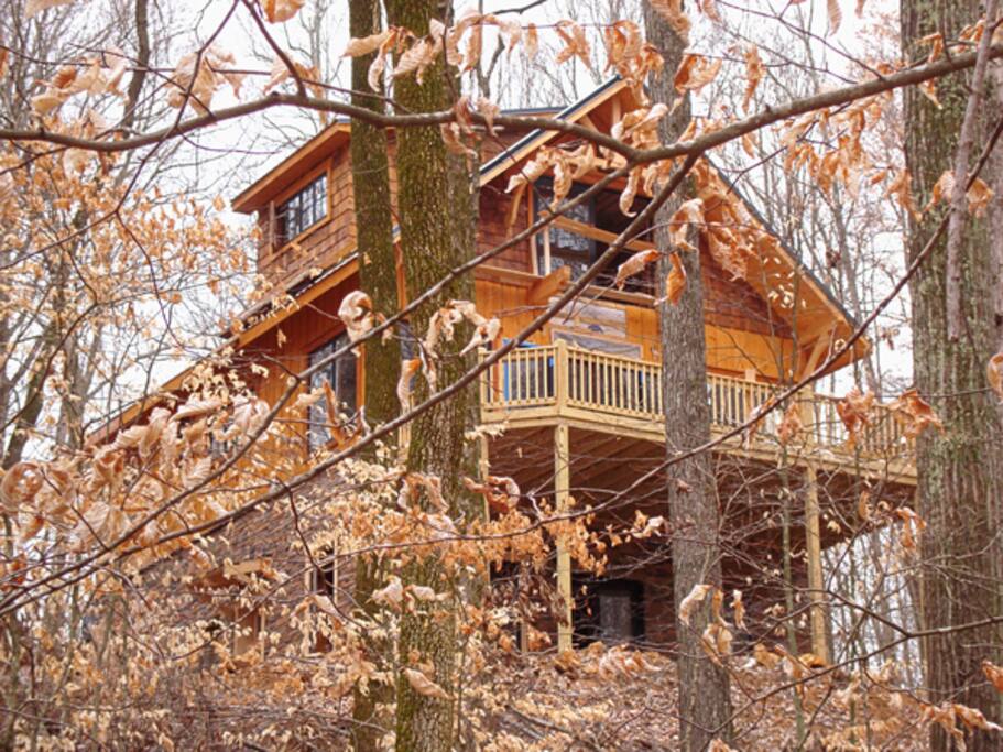 Timber Ridge Cabin Apartmnt Retreat - Apartments for Rent in Franklin ...