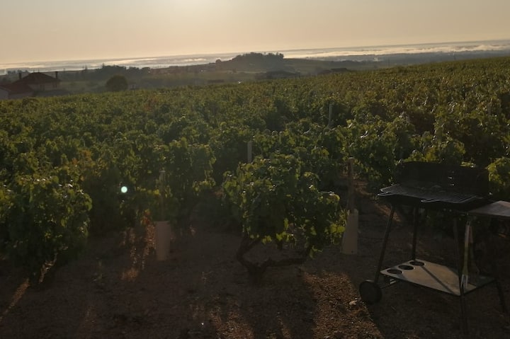Maison Au Cœur Des Vignes, Idéale En Famille ! - Belleville