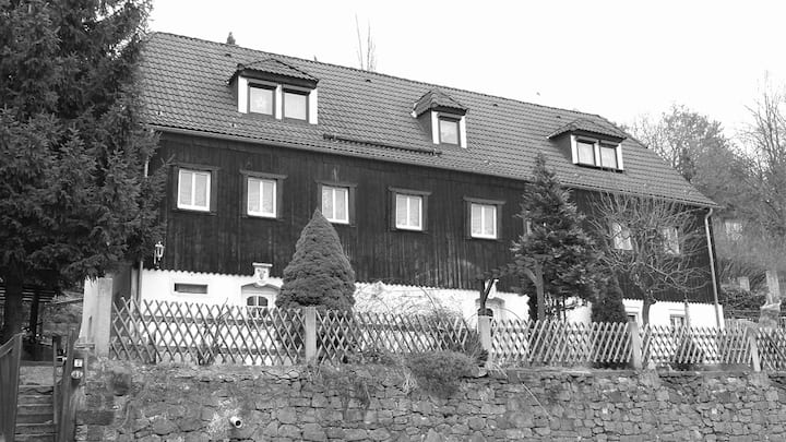 Winzerhaus Am Elberadweg - Dachgeschosswohnung - Dresde
