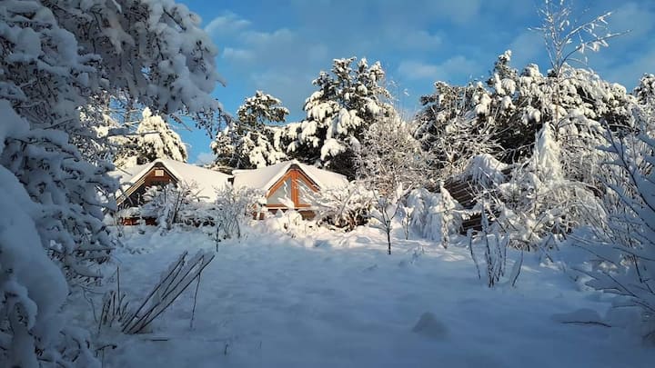 Charmant Petit Chalet Dans La Forêt - Provincie Namen