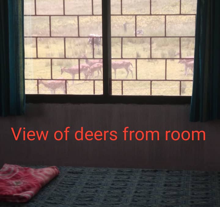 Jungle Guest House Near Mudumalai Bandipur Ooty - Gudalur