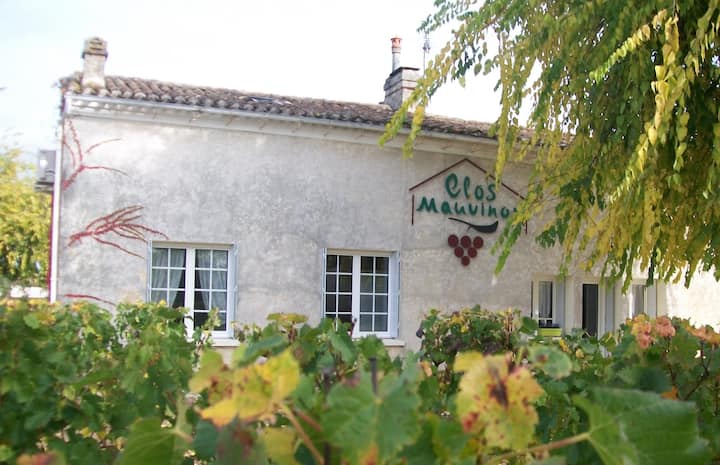 Clos Mauvinon - Saint-Émilion